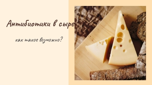 Статьи сообщества Семейная ферма Кузко Овечий и козий сыр ВКонтакте